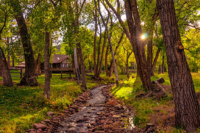 Photo Gallery – Bar NI Ranch